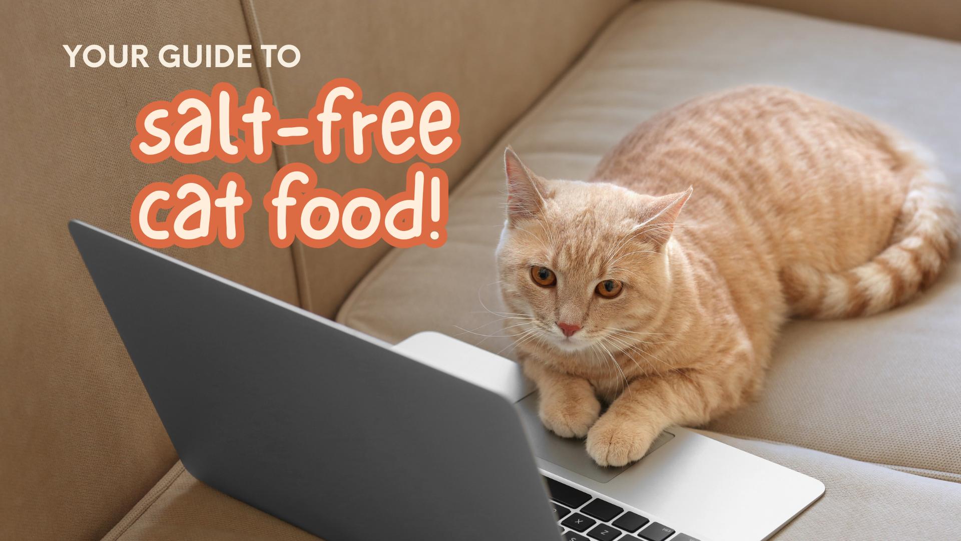 A Guide to Salt-Free Cat Food in Malaysia – fur/ball